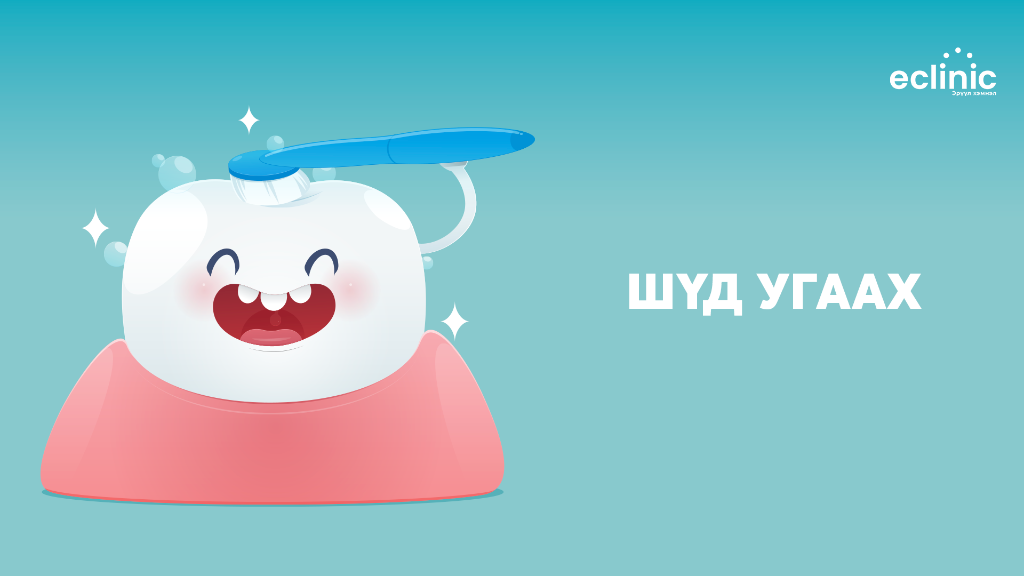 Шүдээ хэрхэн зөв угаах вэ